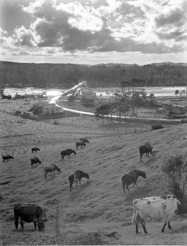 Currumbin Creek Bridge 1930's — Wade's World Photographics | Australia ...